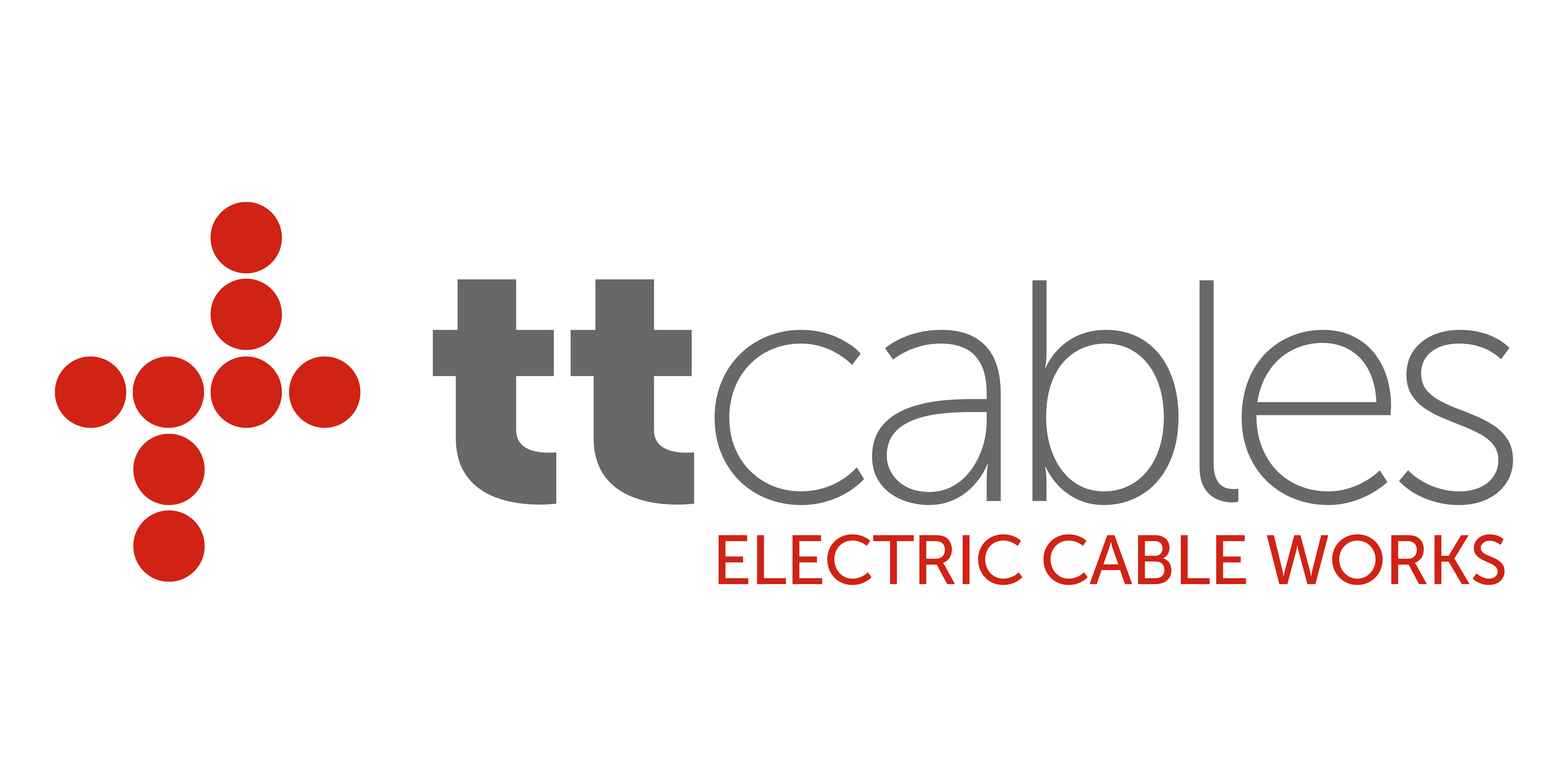 TT Cables - Electricity 2025